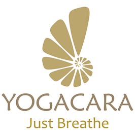 Yoga and Meditation Ecosystem | Teacher Training | Yoga Events | YogaYukt